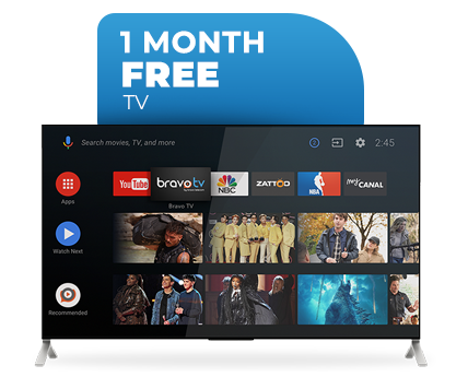 Unlimited high speed hybrid fiber Internet and TV | Bravo